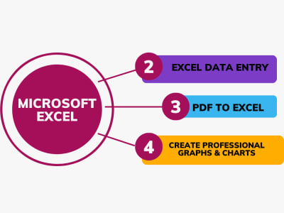 Excel data entry,pdf to excel,professional excel graphs or charts. | Upwork