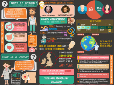 An up-to-date and unique design layouts using CANVA | Upwork