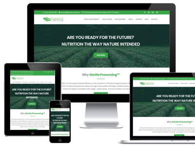 Comprehensive WordPress Website Evaluation & Strategic Action Plan | Upwork