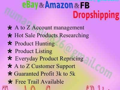 EBay Dropshipping account management A to Z | Upwork