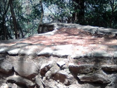 Book a Lifestyle Consultation with Ami C. | Upwork