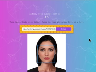 A fully functional web application | Upwork
