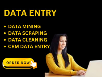 Excel data entry, data collection, web research, copy-paste Services | Upwork