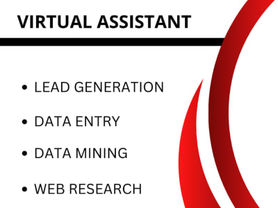 A virtual assistant for Data Entry |Lead Generation | Upwork
