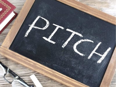 Complete review of your business pitch with guidance on next steps ...