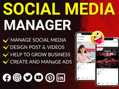 Social media manager, social media marketing, content and post creation ...