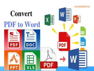 All type of Data Entry, PDF document to MS word/Excel Format | Upwork