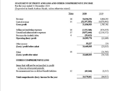 Professional financial statements preparation services at affordable ...