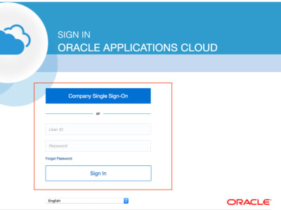 A fully configured Oracle Fusion Financials Application with data | Upwork
