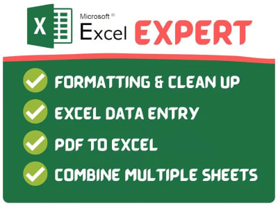 Xcel data entry, cleaning and formatting service | Upwork