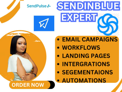 A professional Sendinblue Sendpulse Omnisend email campaign and Automation | Upwork