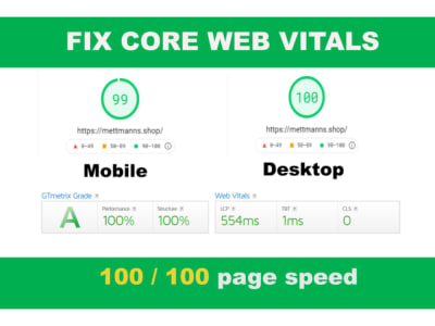 WP speed Optimization | Core Web Vitals ( Core Web Vital ) 100%Fixed | Upwork