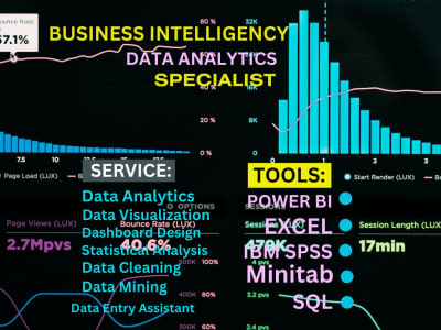 Excel and Power BI Data Visualization and Analytics | Upwork