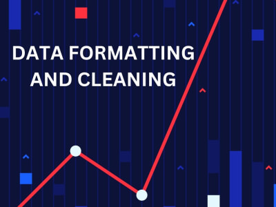 Excel Data Formatting and Cleaning | Upwork