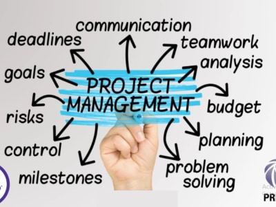 Technical And Expert IT Project Manager for Software Development | Upwork