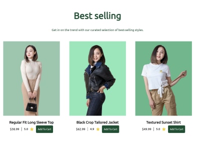 A functional responsive website using HTML CSS and Js | Upwork