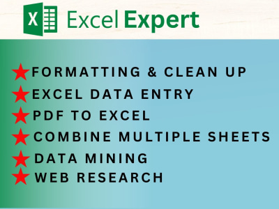 Excel data entry, cleaning and formatting service | Upwork