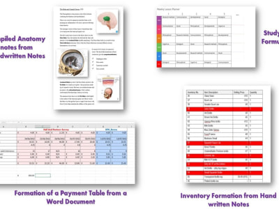 Streamlined Information: Precision Data Entry and Document Organization ...