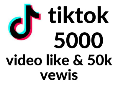 5000 tik tok video like and 50k views service non drop guaranteed | Upwork