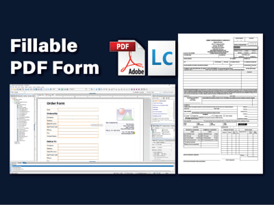 Professional Fillable PDF/ Interactive PDF | Upwork