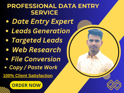 Leads from Data Entry & Web Research | Upwork