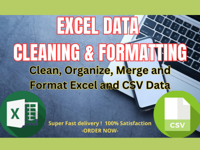 Clean, organize, merge and format microsoft excel and CSV data | Upwork