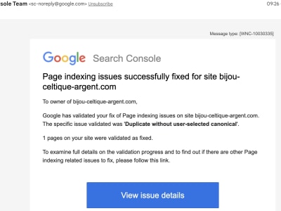 Google Search Console Issue Fix + Fast Page Indexing Service 🚀 | Upwork