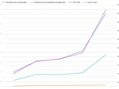 A full Google Ads campaign management with Conversion Rate Optimization ...
