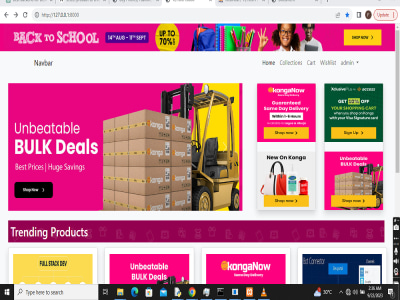 Experience Full Stack Web Developer | Responsive Mobile-Friendly ...