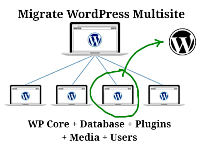 Migrate WordPress Multisite to/from Single Site | Upwork