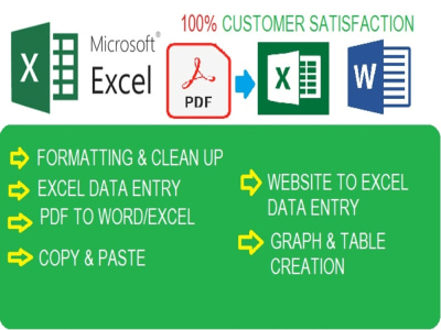 Copy-paste data entry, manual typing, convert PDF to Word and Excel | Upwork
