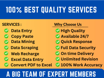 Fast Excel data entry, copy-paste, typing, and virtual assistant service. | Upwork