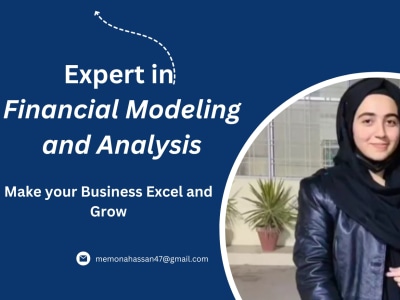 A dynamic Financial Model for strategic data-driven decision-making ...