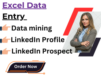 Excel Data Entry, Data Mining, LinkedIn prospect, LinkedIn profile | Upwork