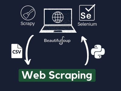 Accurate and well-structured data. | Upwork