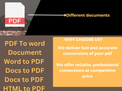 Professional PDF to Word and Other File Conversions. | Upwork