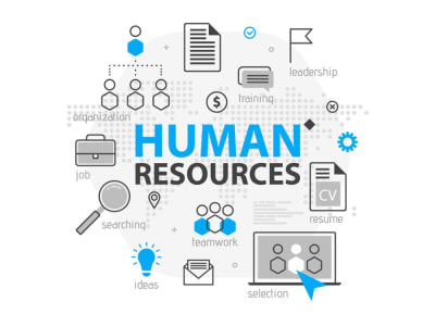 Human resource data analysis and making an HR dashboard | Upwork