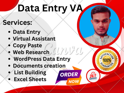 Professional VA for Data Entry Copy Paste Web Research Documents Conversion | Upwork