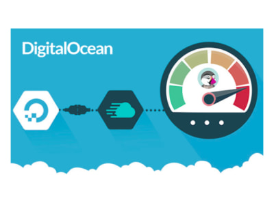 DigitalOcean Managed Hosting Platform | Upwork