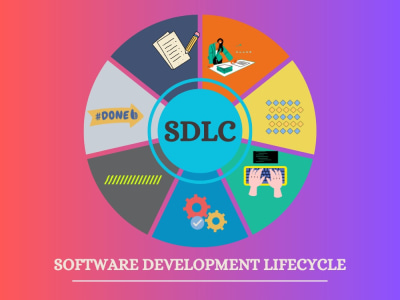 Unique infographics, Canva infographics, fantastic infographics ...