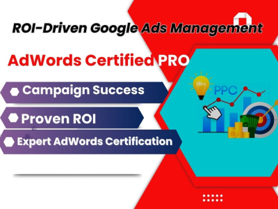 ROI-Driven Google Ads Management AdWords Certified PRO for Campaign ...