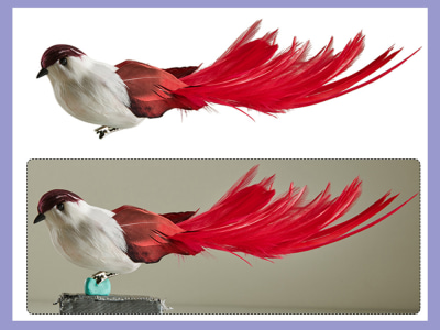 Photoshop Alpha Masking and Layer Mask photo editing super fast service. | Upwork