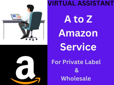 A professional Amazon Virtual Assistant for PL and Wholesale | Upwork