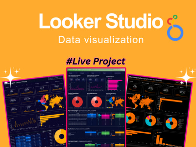 Looker Studio Dashboard and Interactive Visualization, Custom Reports ...