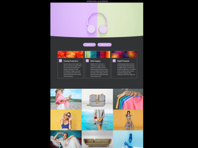 A custom CSS, Javascript Website | Upwork