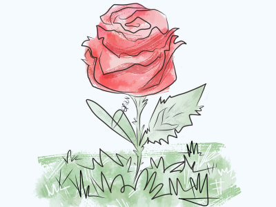 An album cover from concept to finish | Upwork