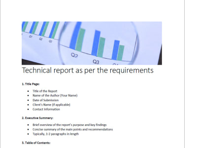 Detailed Technical Report with diagrams and workflows | Upwork