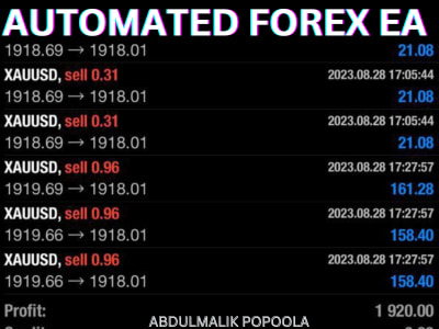 A super high performing forex EA robot | Upwork