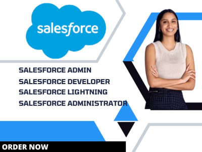 A professional salesforce CRM salesforce admin configuration | Upwork