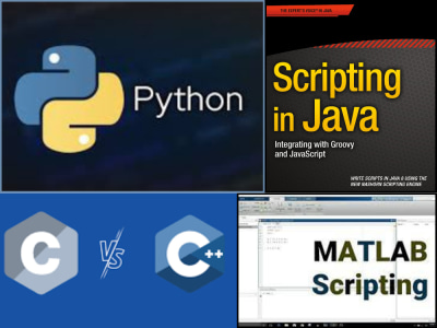 Automation script in python php java matlab c and cpp | Upwork